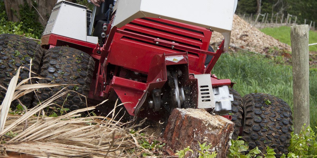 Vegetation Management Auckland | Section Clearing Auckland | All ...